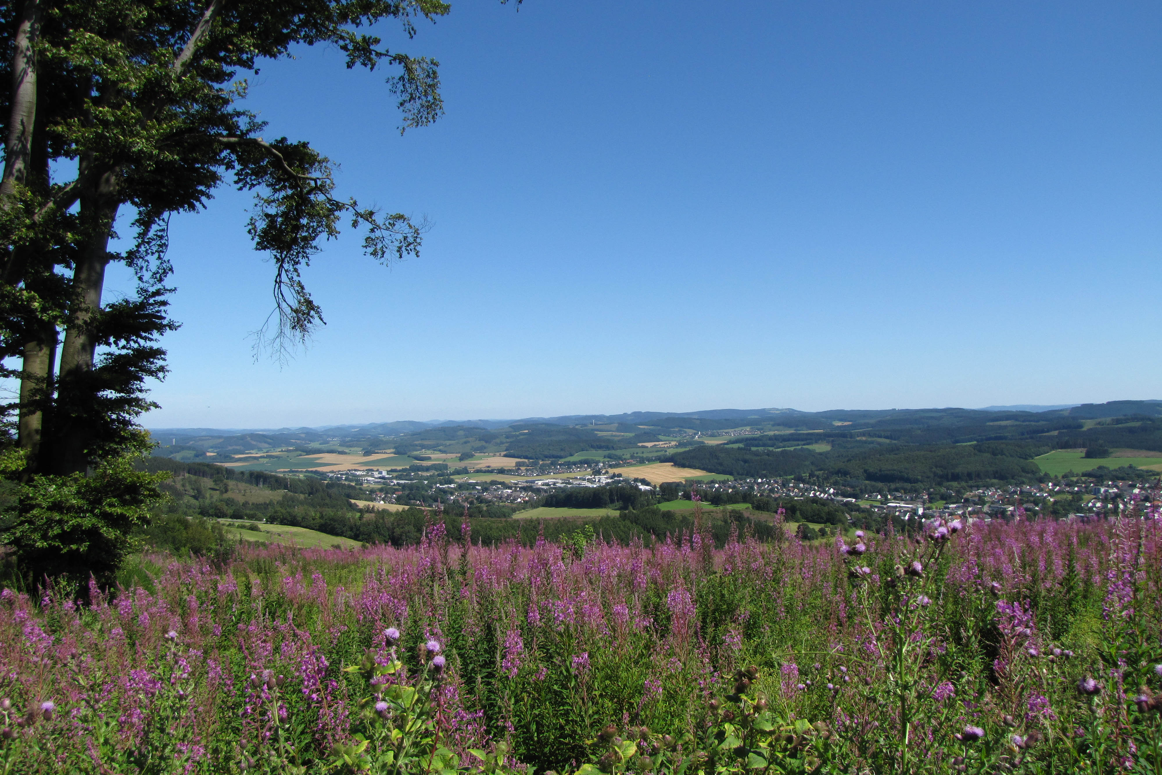 Neuenrade - Radeln nach Zahlen